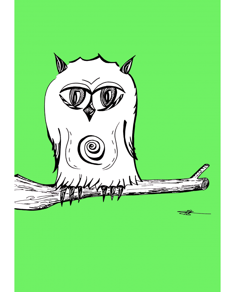 Affiche A3 petite chouette